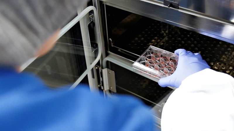 Stemgent: Clinical-grade and Research-grade iPSCs For Your Therapeutic ...